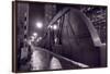 'Steel Bridge Chicago BW' Photographic Print - Steve Gadomski ...
