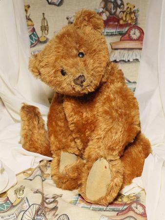 'A Cinnamon Steiff Teddy Bear, circa 1905' Giclee Print - Steiff ...