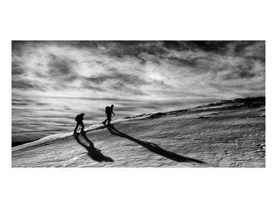 'Step by Step' Print | AllPosters.com