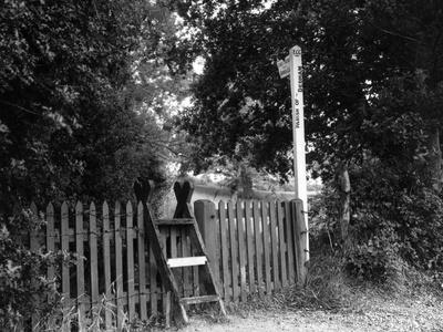 'Step-Ladder Stile' Photographic Print | AllPosters.com