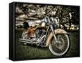 'Harley' Photographic Print - Stephen Arens | AllPosters.com