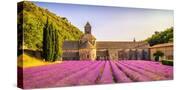 Abbey of Senanque Blooming Lavender Flowers Panorama at Sunset. Gordes ...