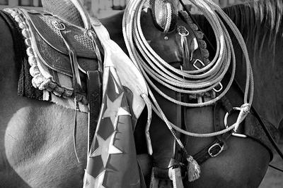 'Ready to Rope B&W' Photo - Steve Toole | AllPosters.com