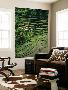 'Ubud, Rice Terraces, Bali, Indonesia' Prints - Steve Vidler ...