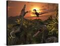 'A Group of Feathered Carnivorous Velociraptors from the Cretaceous ...