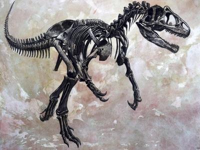 '3D Rendering of a Pachycephalosaurus Dinosaur Skeleton' Photographic ...