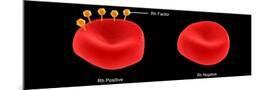 Conceptual illustration of Rh factor on a red blood cell. Prints ...