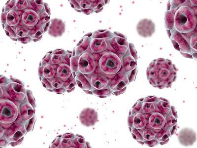 'Conceptual image of the human papillomavirus infection virus.' Posters ...