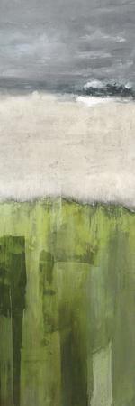 'Strata - Colorado' Giclee Print | AllPosters.com