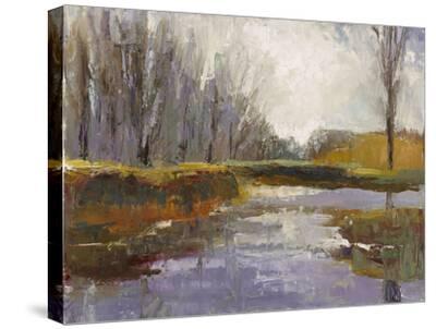 'Stream' Stretched Canvas Print - Elissa Gore | AllPosters.com