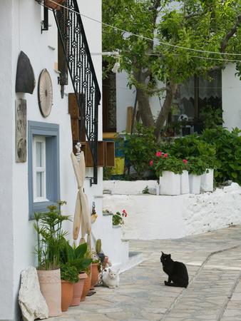 'Street View with Black Cat, Manolates, Samos, Aegean Islands, Greece ...