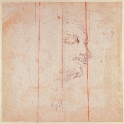 'Study for the Head of the Libyan Sibyl (Black Chalk on Paper) (Verso ...