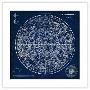 Celestial Blueprint Gallery Pops - Sue Schlabach | AllPosters.com
