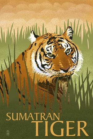 'Sumatran Tiger - Lithograph Series' Print - Lantern Press | AllPosters.com