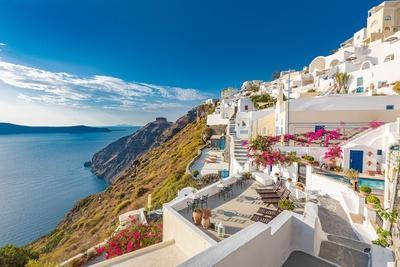 Summer vacation for travel destination flowers background. Wonderful ...