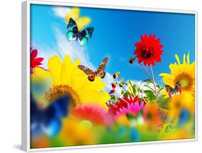 'Sunny Garden Of Flowers And Butterflies. Colors Of Spring And Summer ...