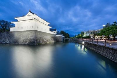 'Sunpu Castle, Shizuoka, Japan at twilight' Photo | AllPosters.com