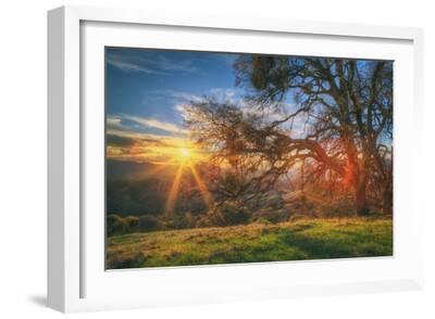 'Sunset Oak, Mount Diablo State Park, Northern California' Photographic ...