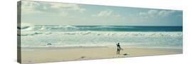'Surfer Standing on the Beach, North Shore, Oahu, Hawaii, USA ...