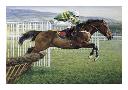'Istabraq at Cheltenham II' Premium Giclee Print - Susan Crawford ...