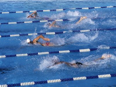 'Swimmers Competing in a Race' Photographic Print | AllPosters.com