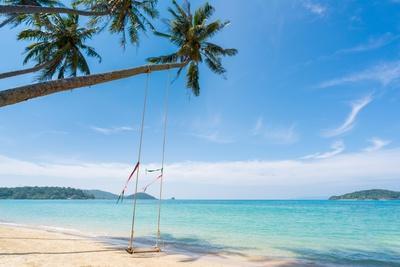 'Swing hang from coconut palm tree over summer beach sea in Phuket ...