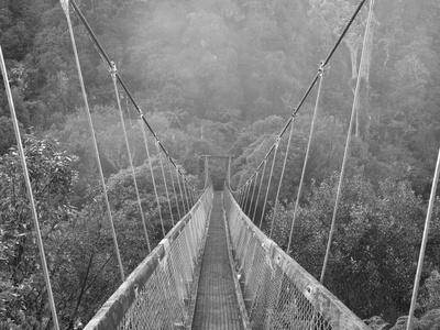 'Swingbridge, Motu Falls, Motu, Gisborne, North Island, New Zealand ...