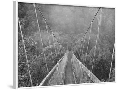 'Swingbridge, Motu Falls, Motu, Gisborne, North Island, New Zealand ...
