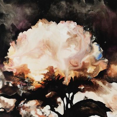 'Midnight Rouge' Giclee Print - Sydney Edmunds | AllPosters.com