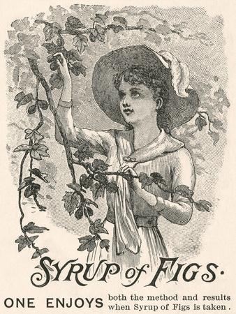 'Syrup of Figs Advertisement' Giclee Print | AllPosters.com