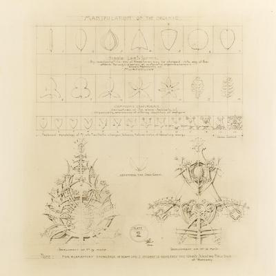 'System of Architectural Ornament: Plate 2, Manipulation of the Organic ...