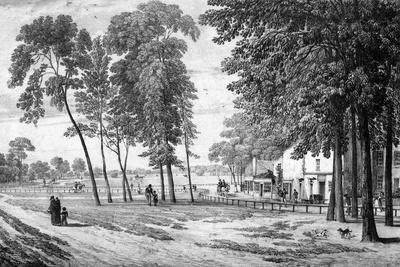 Clapham Common - T M Baynes | AllPosters.com