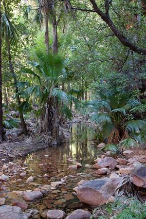 Wild Gorge Photographic Print - t-s-x | AllPosters.com