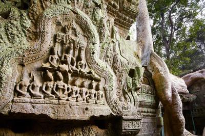 'Ta Prohm Temple, Angkor, Cambodia, Asia' Photo | AllPosters.com
