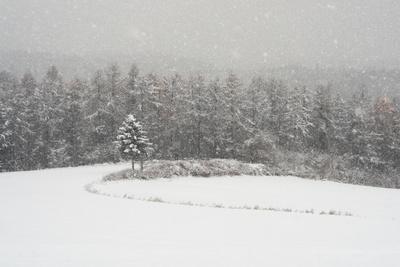 Curve on the Snow Field Photographic Print - Takuma Higashide ...