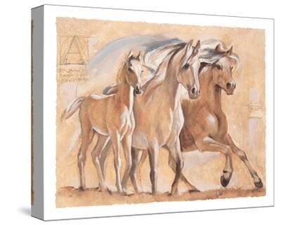 'Freedom' Stretched Canvas Print - Talantbek Chekirov | AllPosters.com