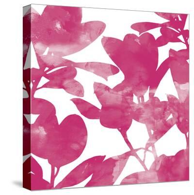 'Ficus Lutea Decora Pink' Stretched Canvas Print - Tania Bello ...