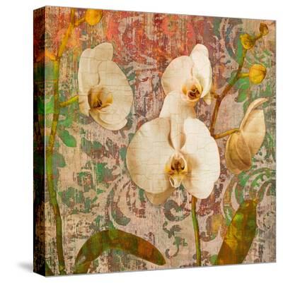 'Orchids Crackle' Stretched Canvas Print - Tania Bello | AllPosters.com
