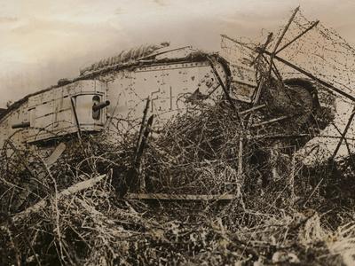 'Tank Caught in Barbed Wire Entanglement' Photographic Print ...