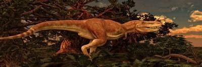 'Tarbosaurus Was a Theropod Dinosaur from the Late Cretaceous Period ...