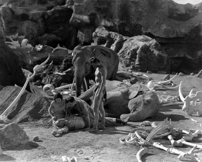 Tarzan the Ape Man Photo | AllPosters.com
