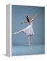 '21 Year Old NYC Ballet Ballerina Jenifer Ringer in Graceful Move from ...