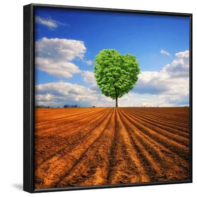 'Tender Nature' Photographic Print - Philippe Sainte-Laudy | AllPosters.com