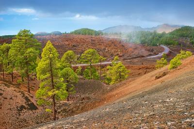 'Tenerife - volcanic landscape, Teide National Park, Canary Islands ...