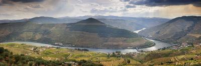 'Terraced Vineyards Along the Douro River and Pinhao. Alto Douro ...