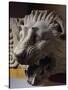 Terracotta Antefix Depicting Lion's Head from Temple known as Palatines ...