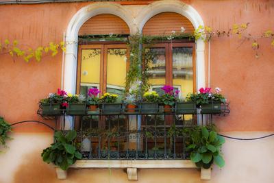'Italy, Venice, Window Boxes with Flowers.' Photographic Print - Terry ...