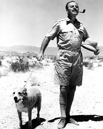 'Terry-Thomas, It's a Mad Mad Mad Mad World (1963)' Photo | AllPosters.com