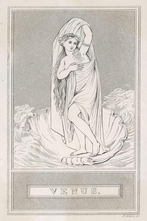 'The Birth of Venus: She Stands in a Large Shell Swathed in Draperies ...