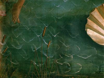 'The Birth of Venus (Venus Anadyomene)' Giclee Print - Sandro ...